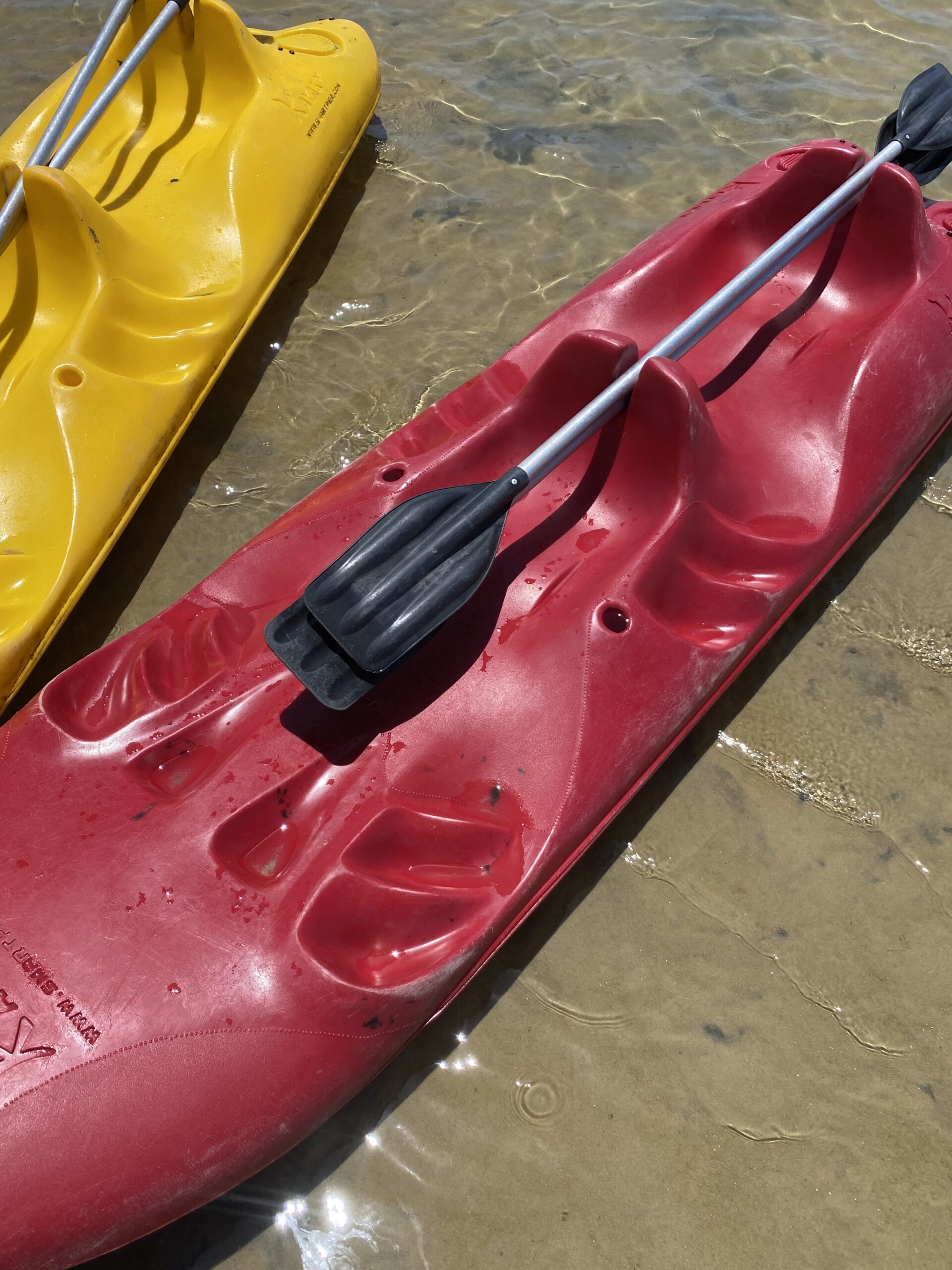 Descubra a maior piscina natural da América Latina no Samoa Beach ...