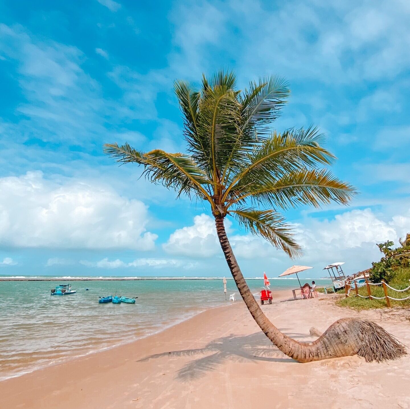 Descubra onde tirar as melhores fotos em Porto de Galinhas